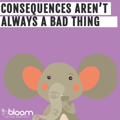 Consequences and Behavior Insights | InBloom Autism Services