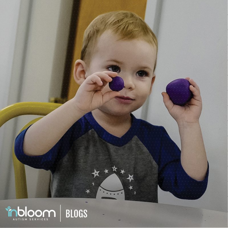 Stimulus Fading | ABA Therapy | InBloom Autism Services
